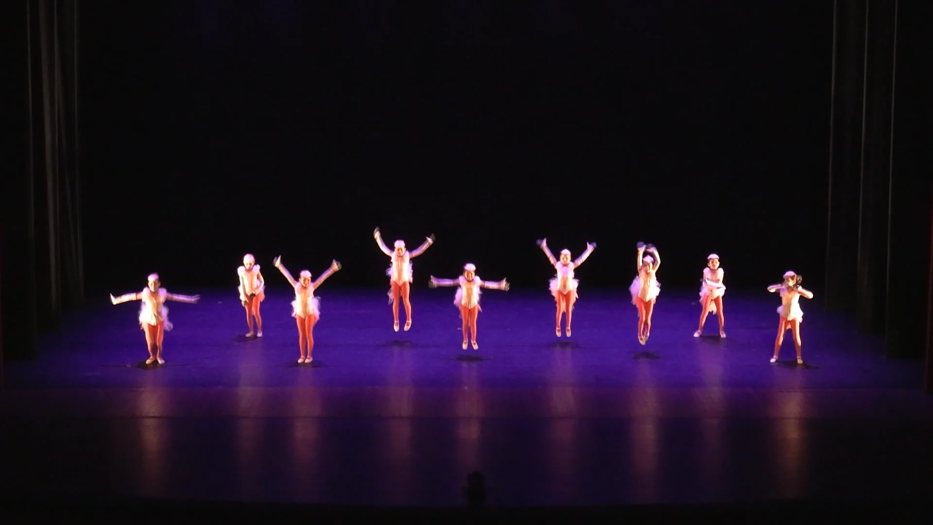 21 BAILLARINE BALLET- FLAMINGOS