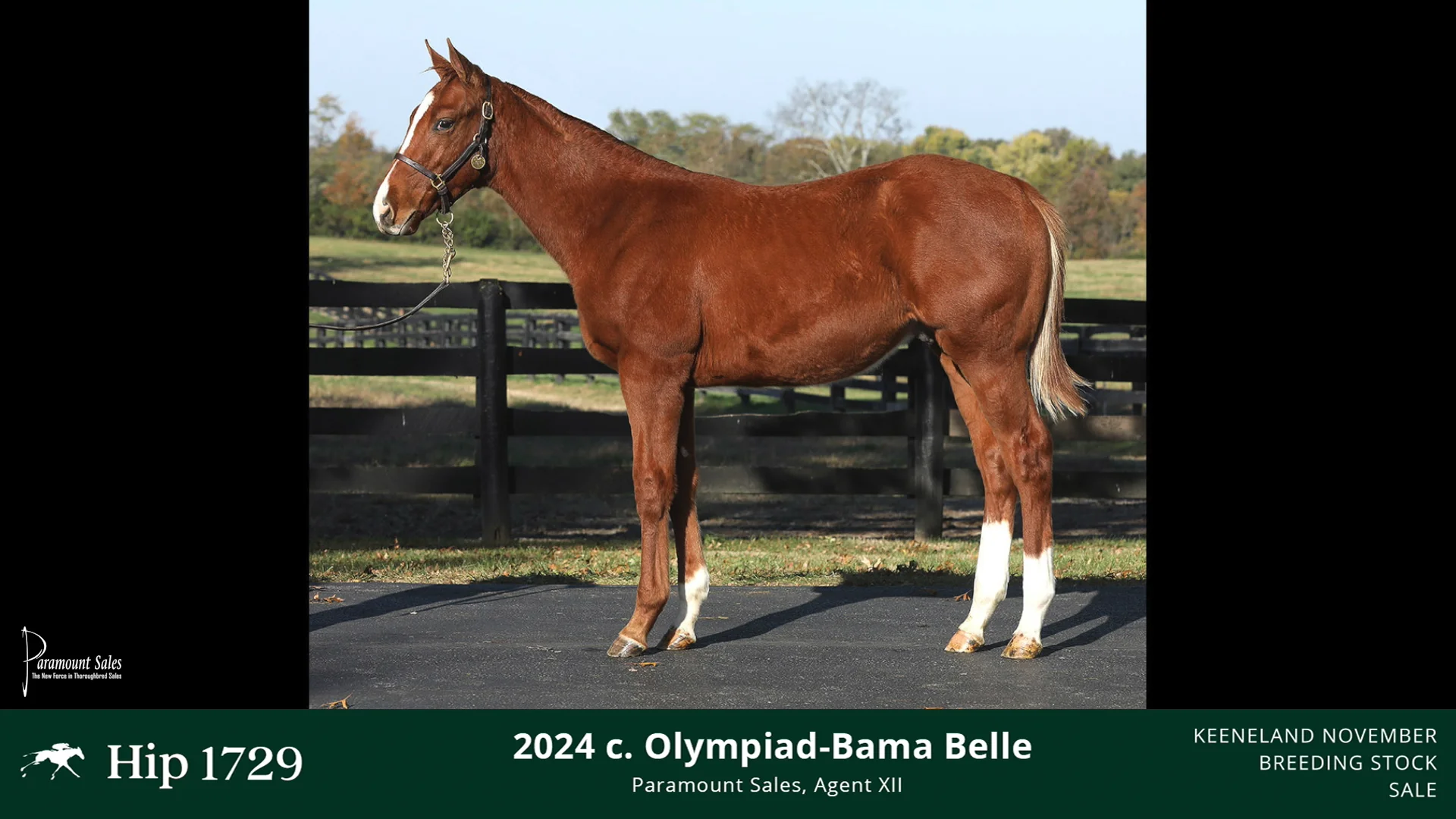 KEENOV24_1729_Bama Belle 24