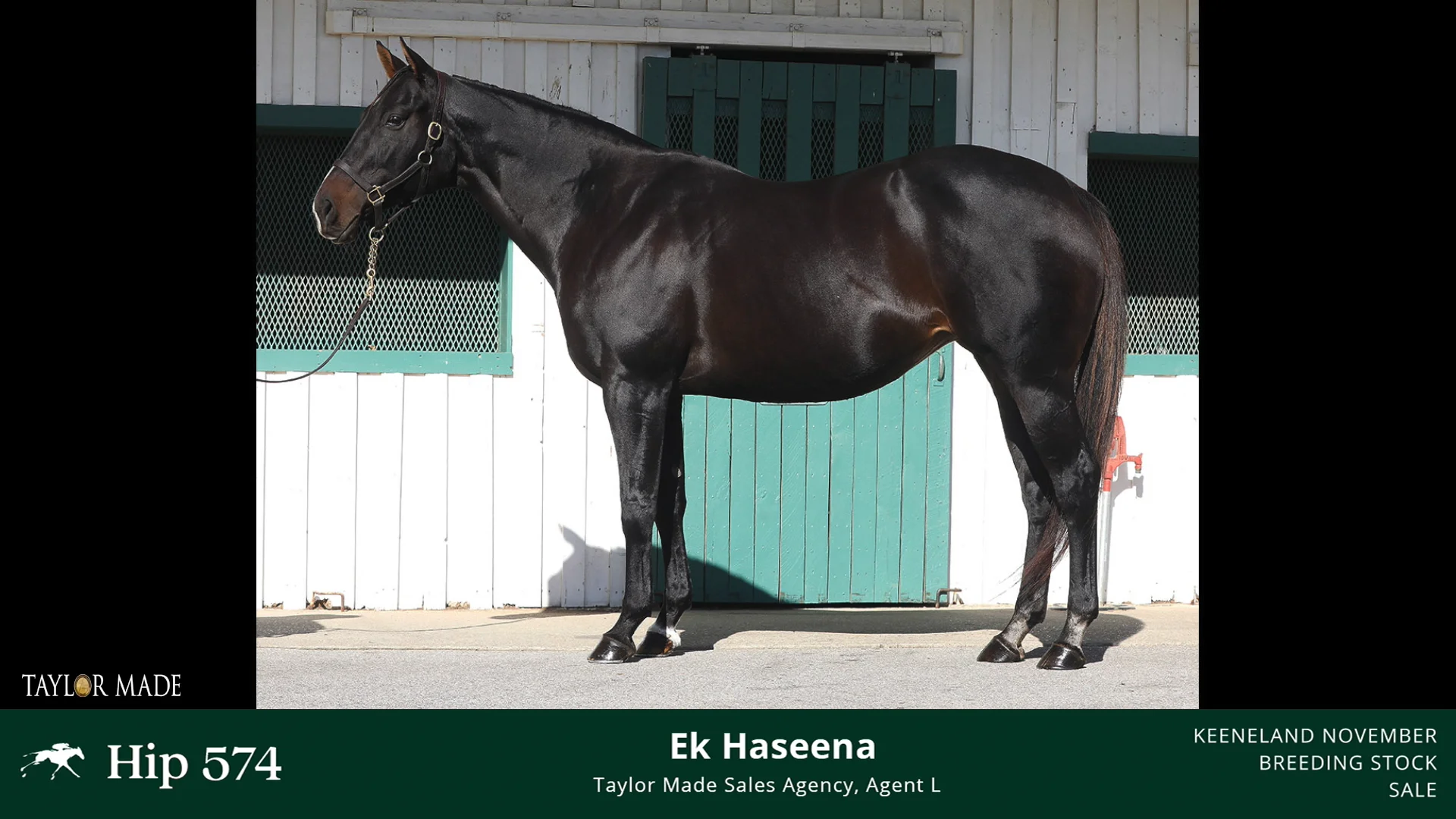 KEENOV24_574_Ek Hassena