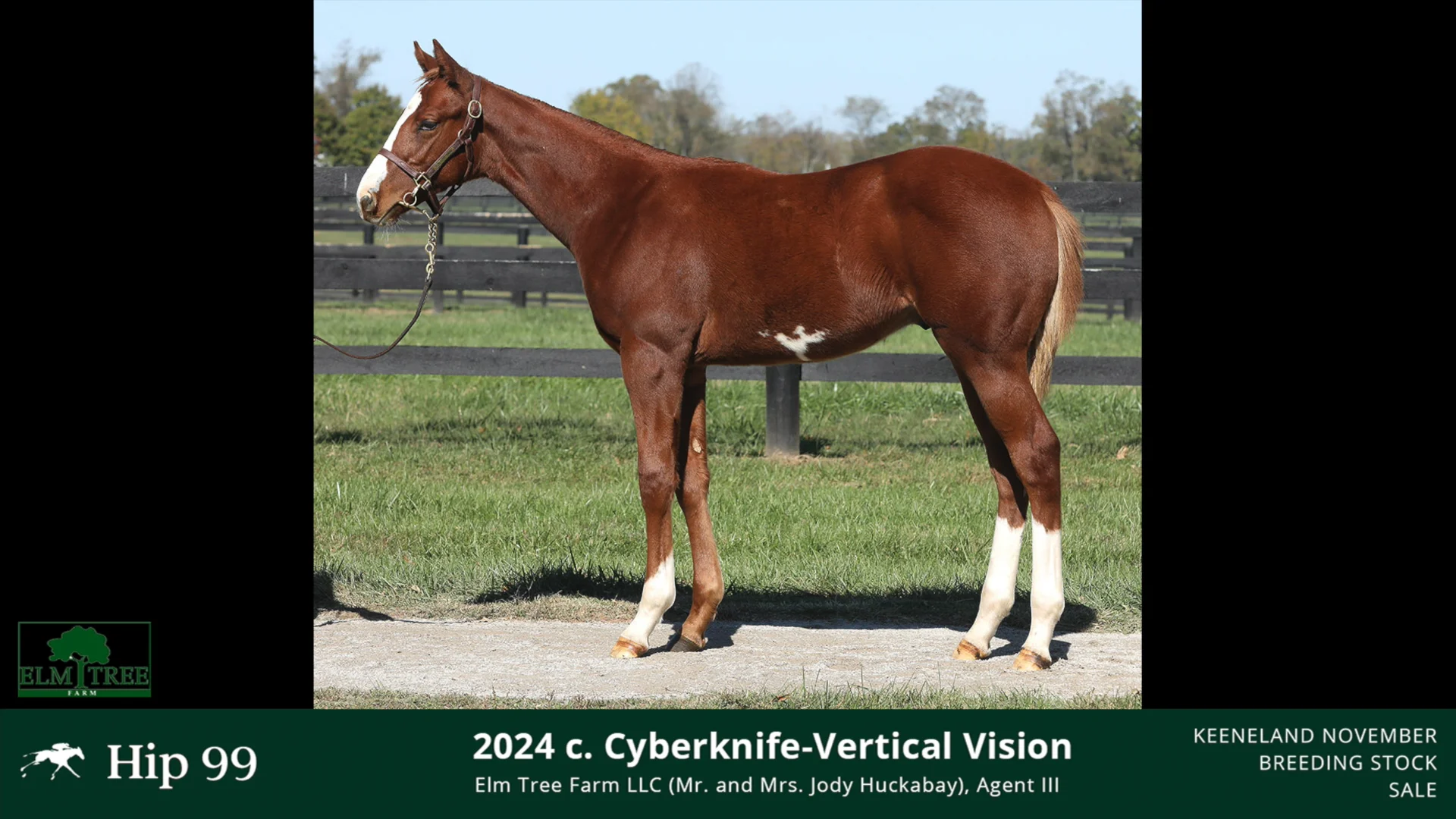 KEENOV24_99_Vertical Vision 24 final