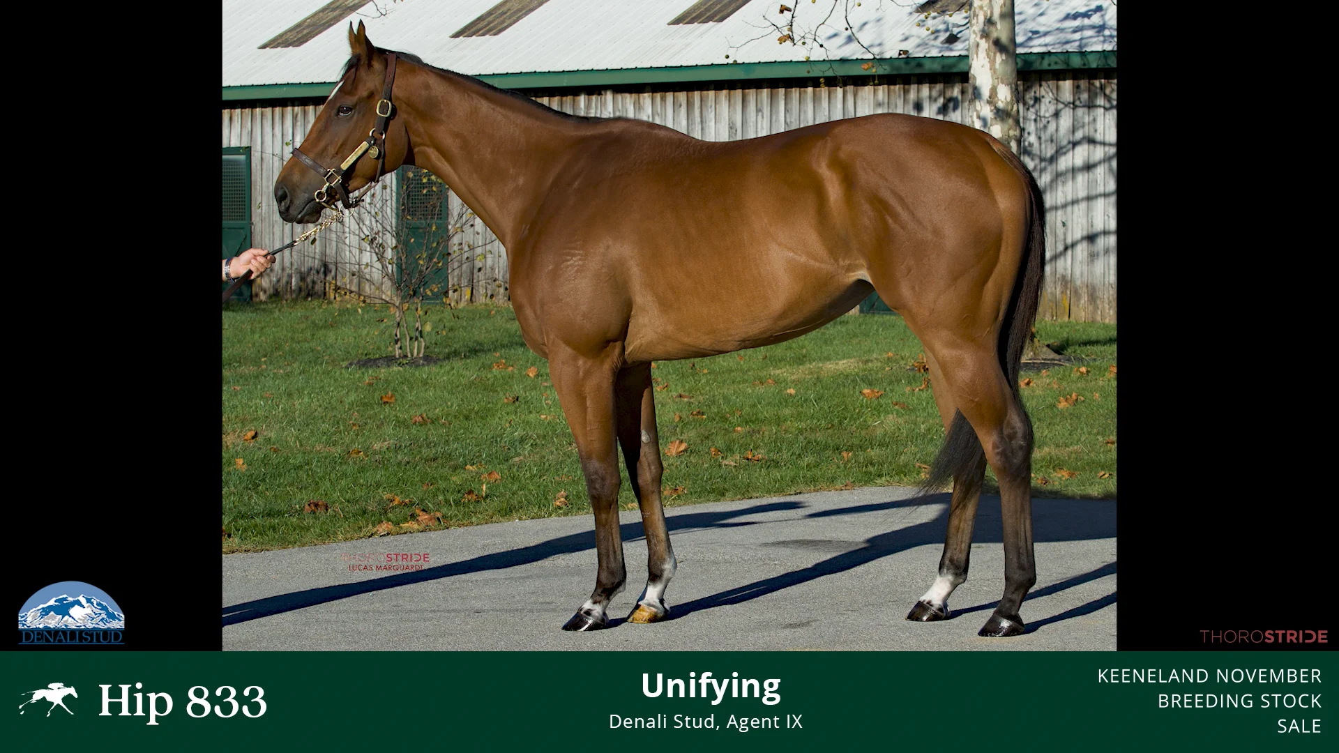 KEENOV24, Hip 833, UNIFYING (f. Union Rags)