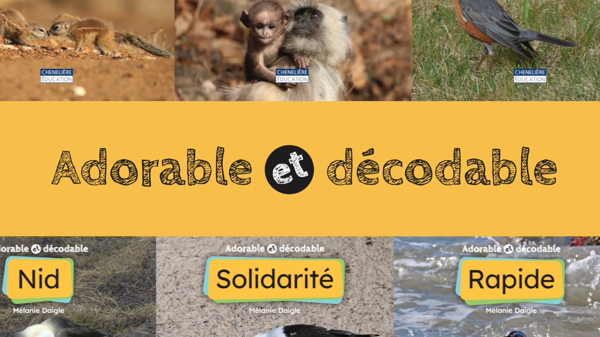Adorable et décodable
