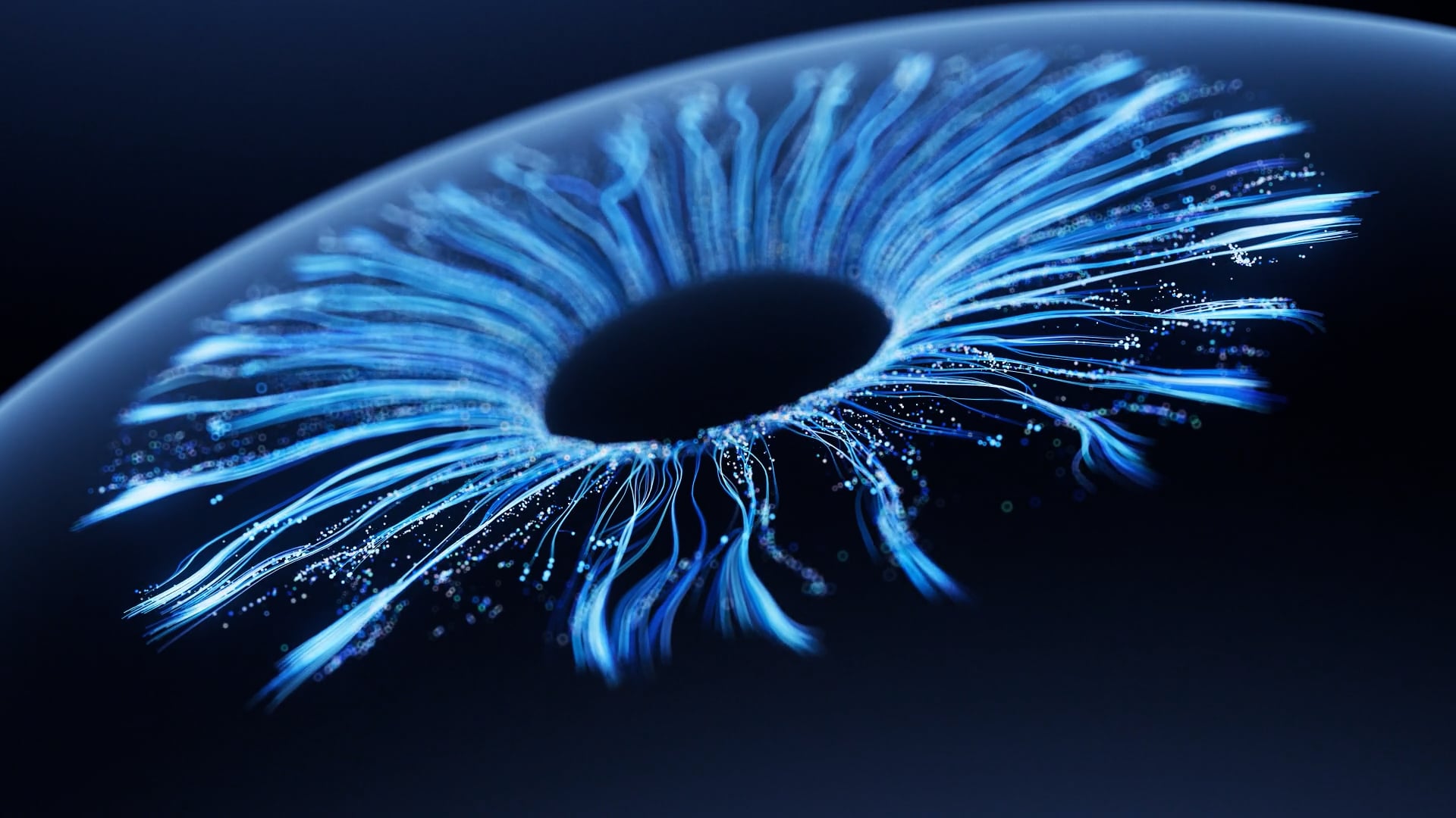 Thermal Vision - Thermal Imaging Inspection, Infrared Roof Inspection ...