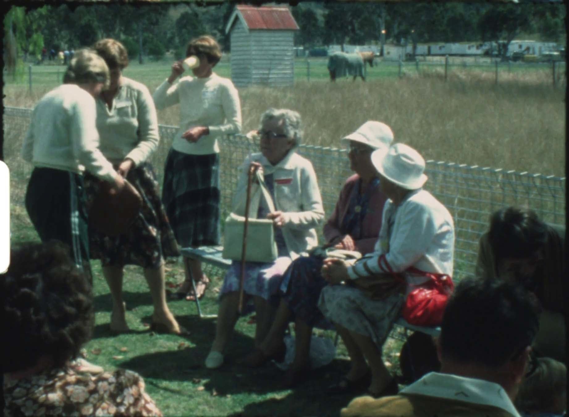 Beryl Clowes Collection - Motion picture: family picnic | Videos ...