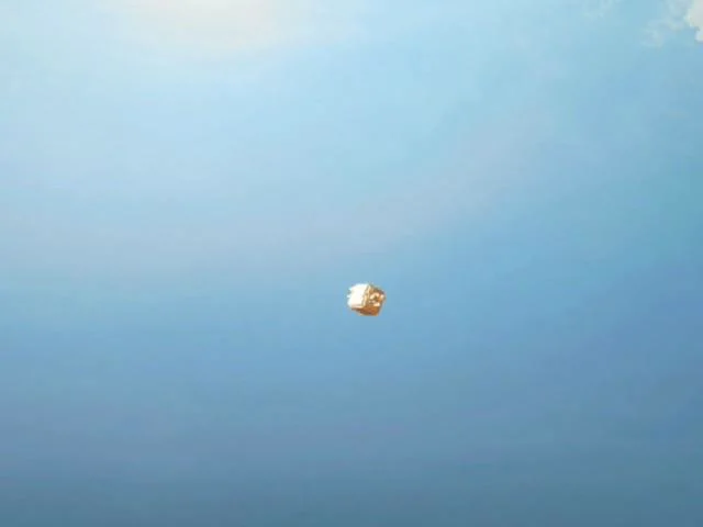 Toowam Podcats - Ident03