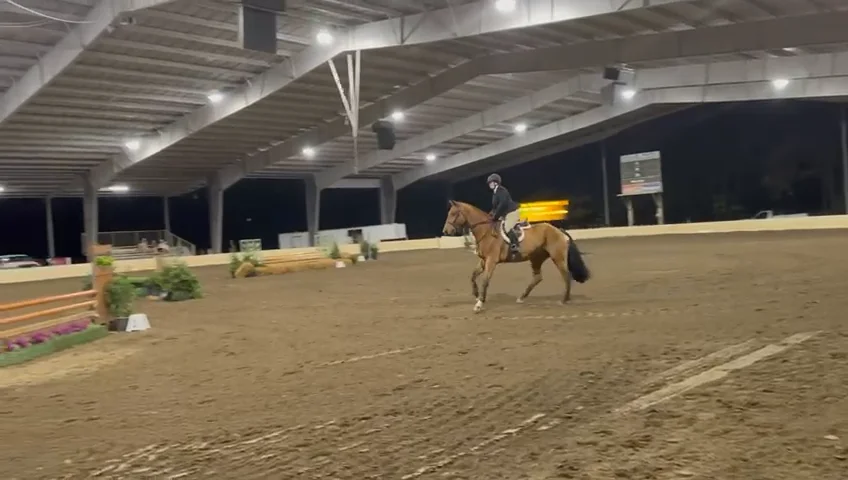 Q local medal finals