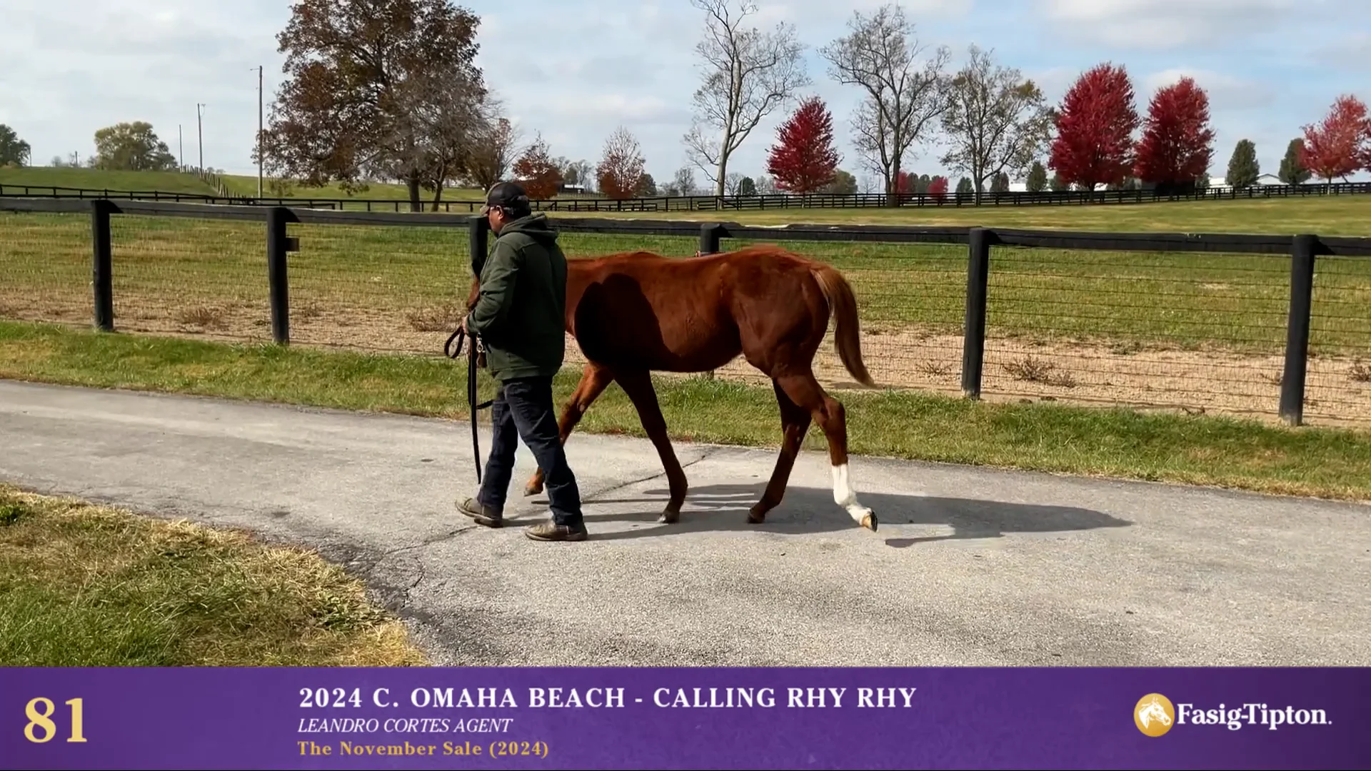 2024 c. Omaha Beach - Calling Rhy Rhy