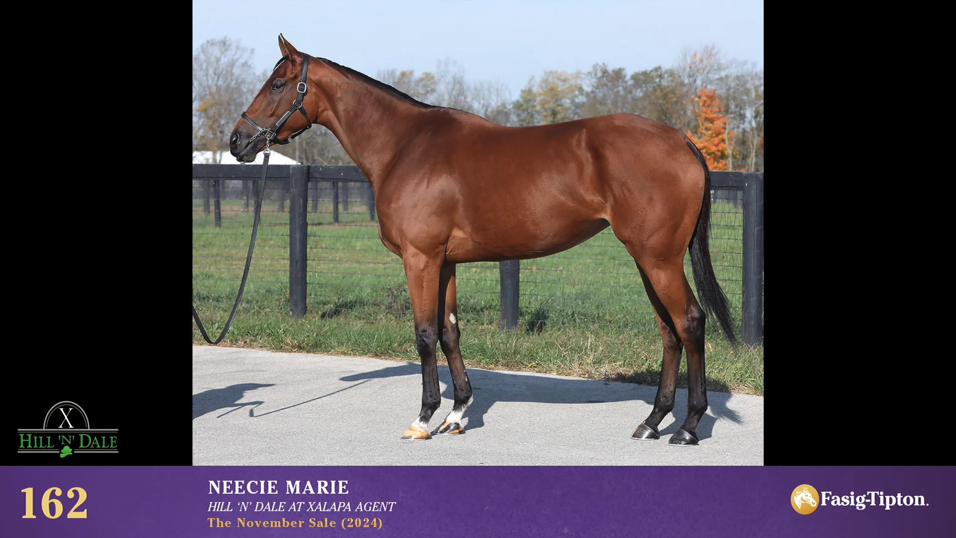 FTKNOV24_162_Neecie Marie