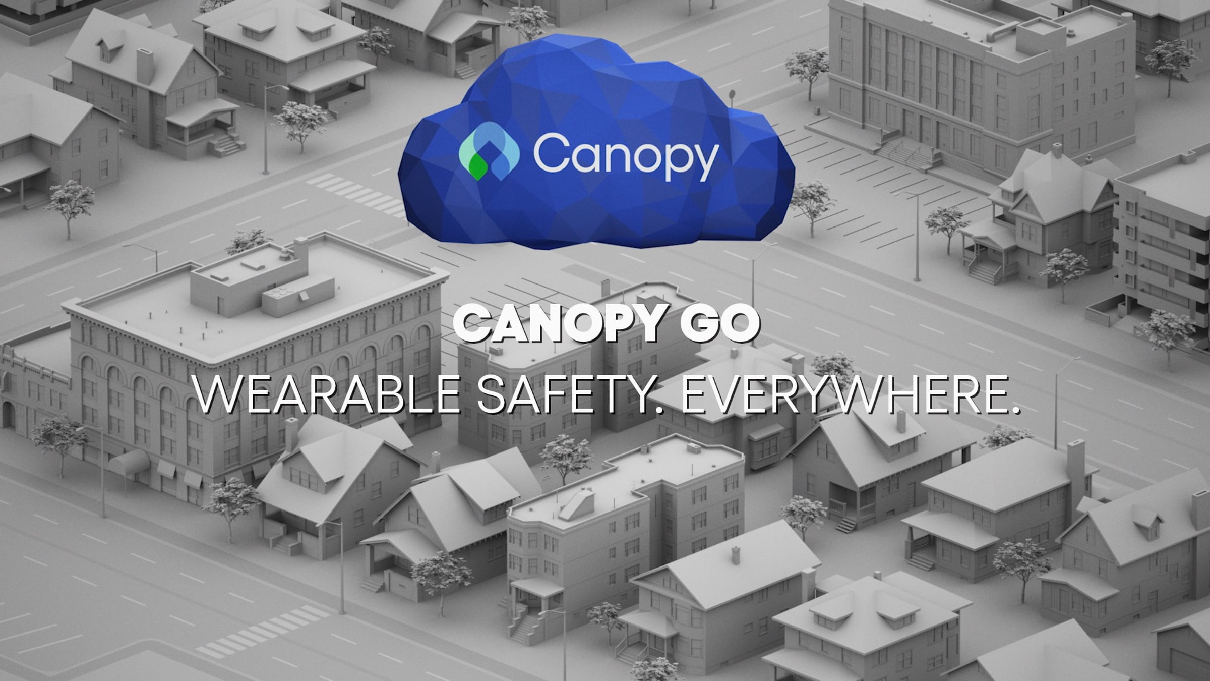 Canopy Go Overview