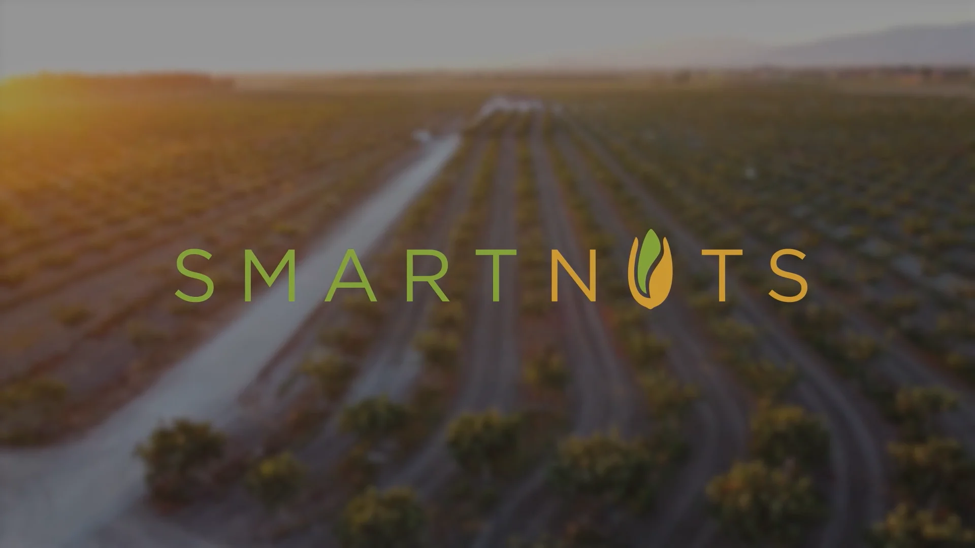 Smart Nuts Virtual Tour