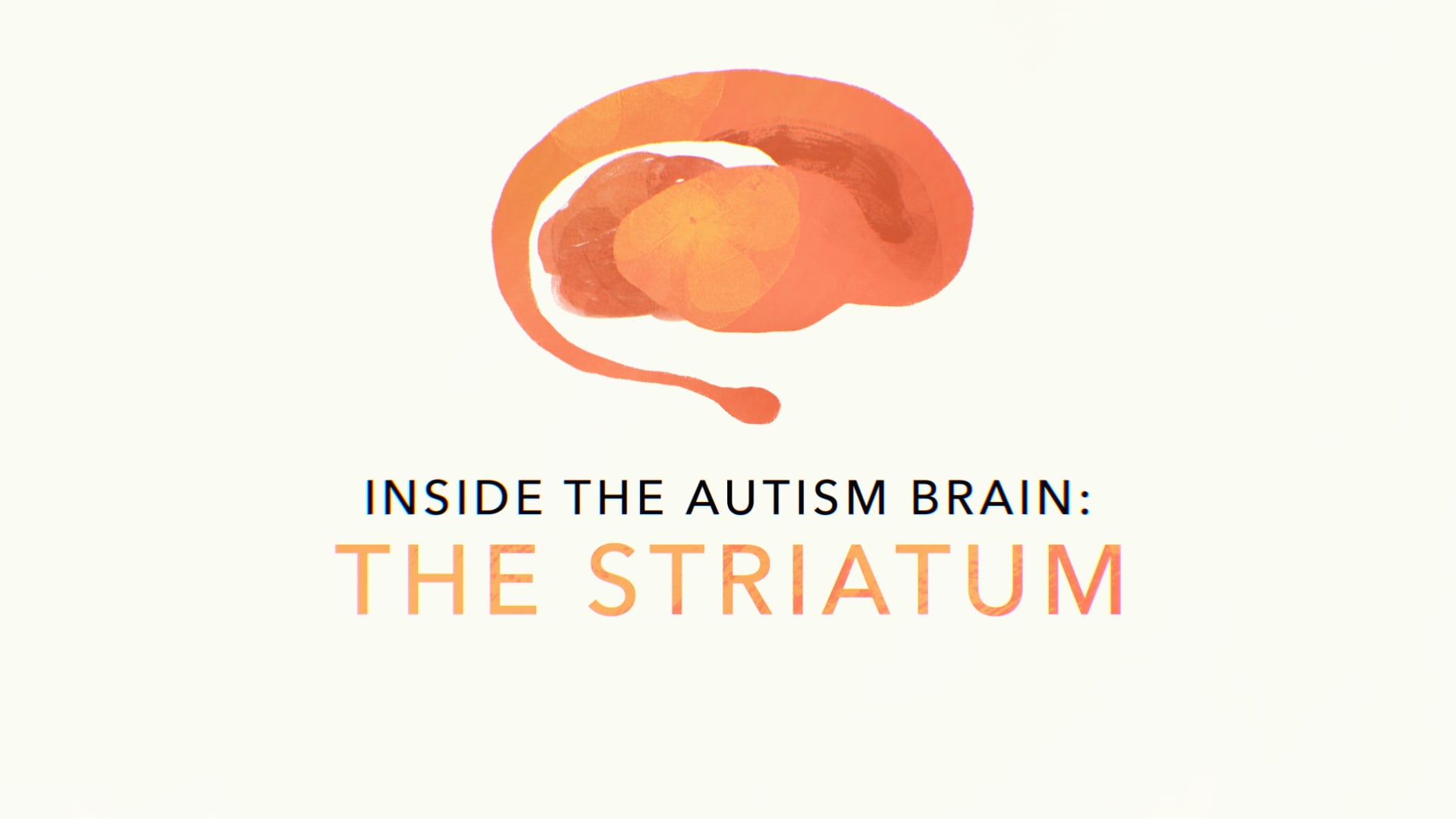 Inside the Autism Brain - Animated Explainer