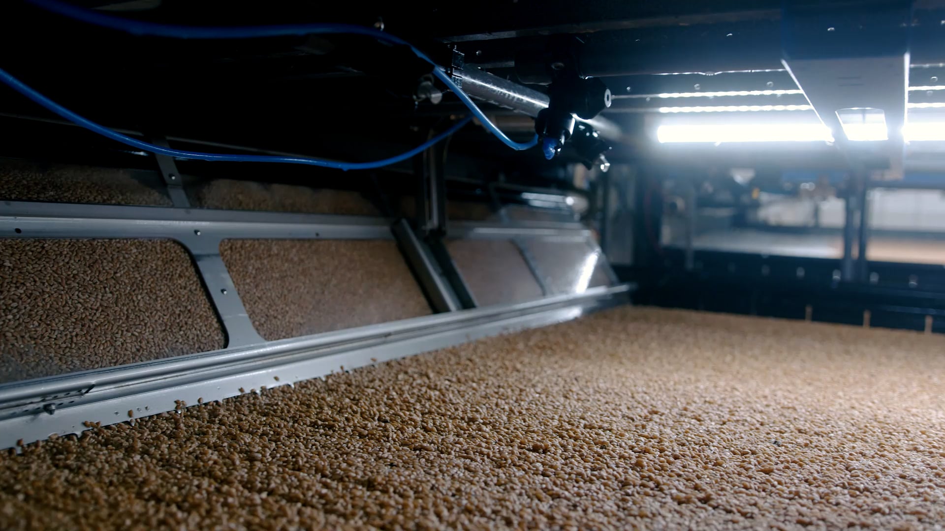 Contact | Agro-Nutrition