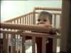 Vella Family on Vimeo