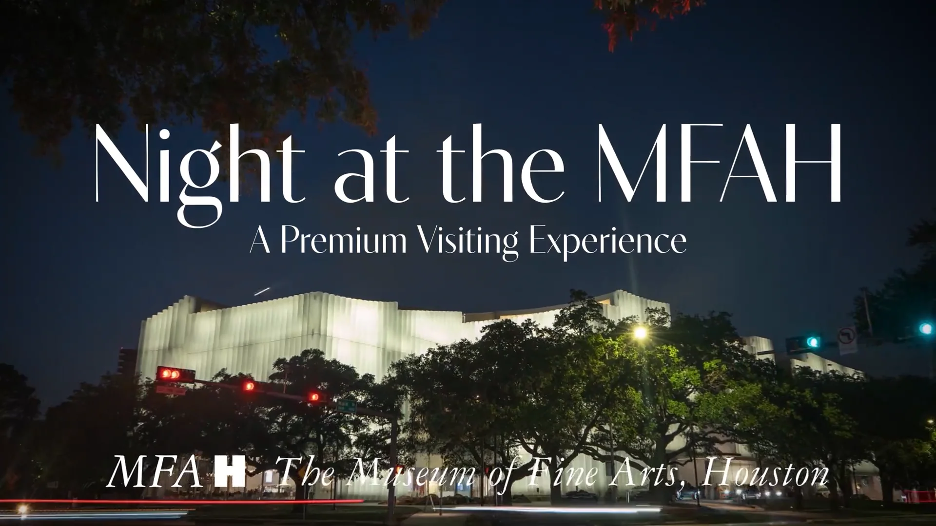 Night at the MFAH