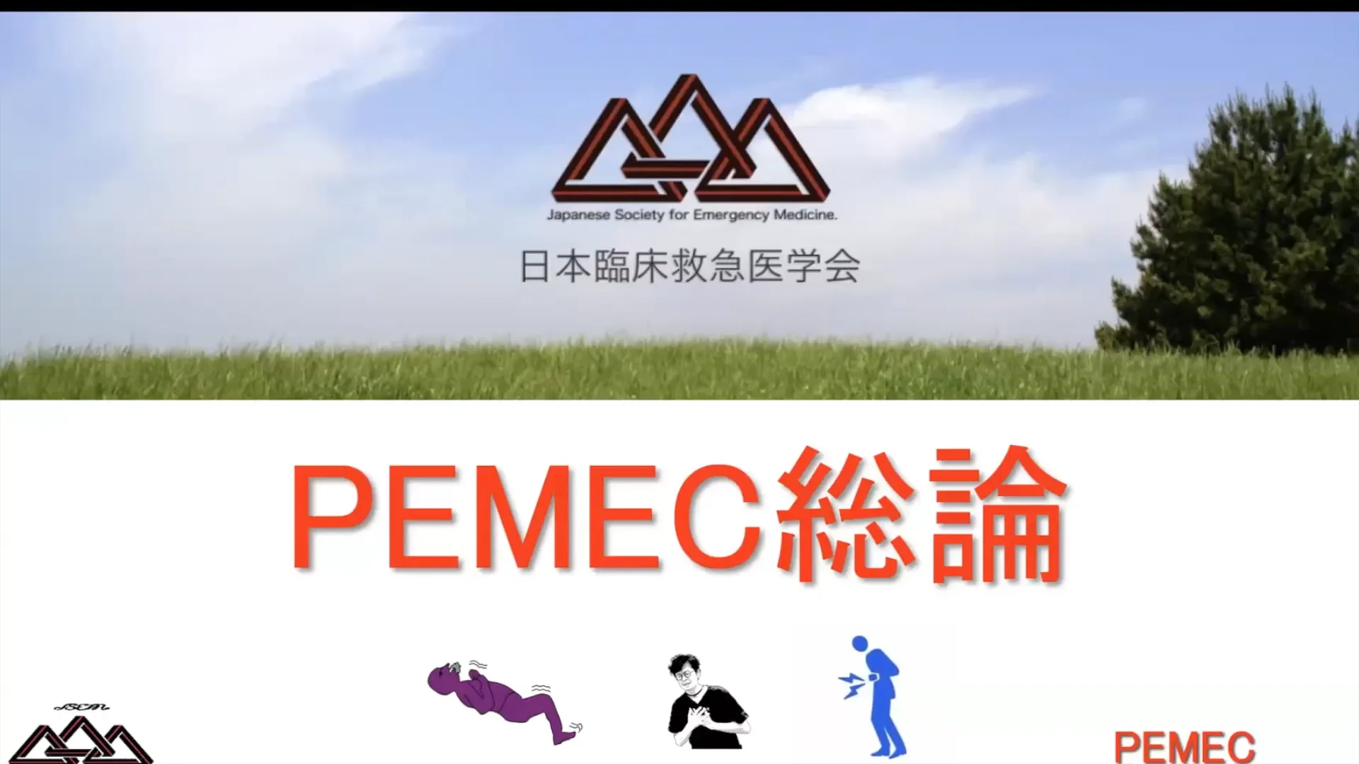 PEMEC総論
