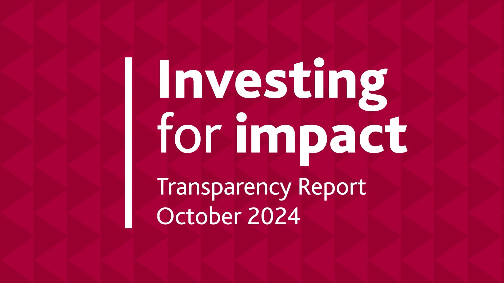 Transparency Report 2024