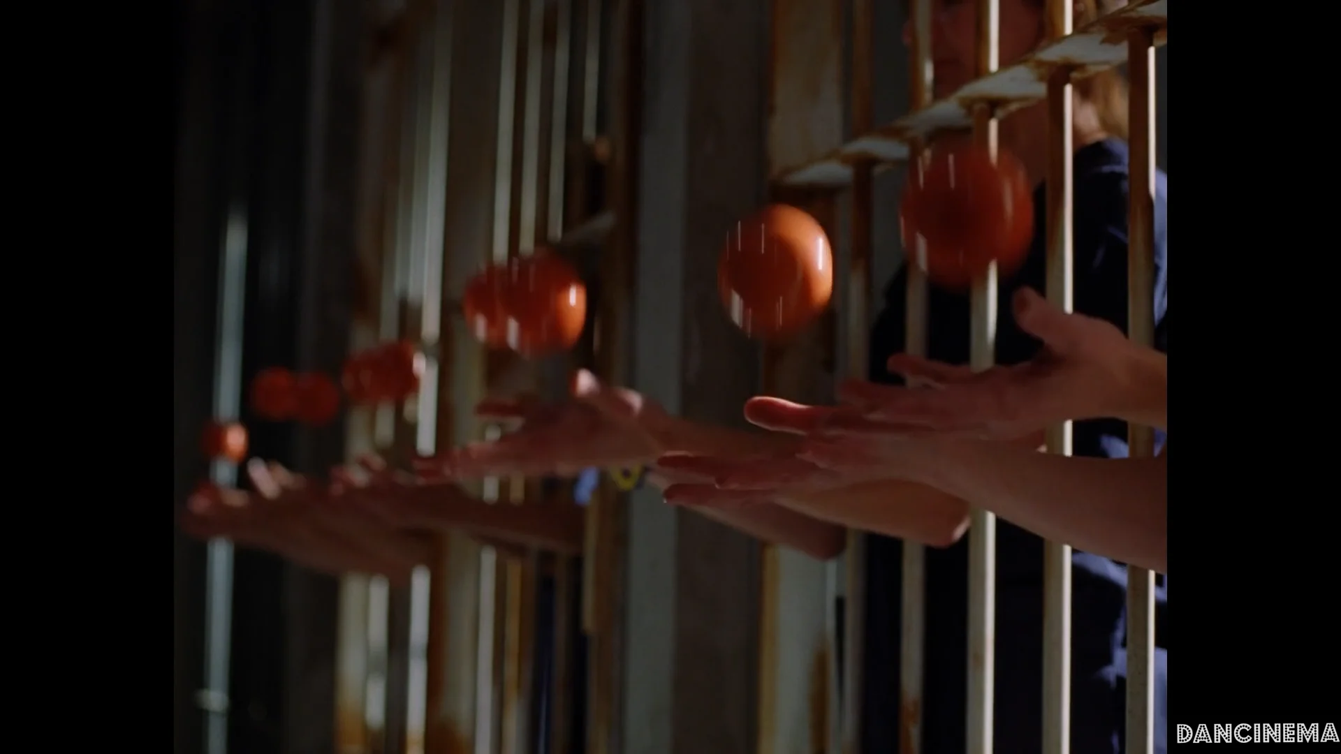 Dancinema 2024: Bold