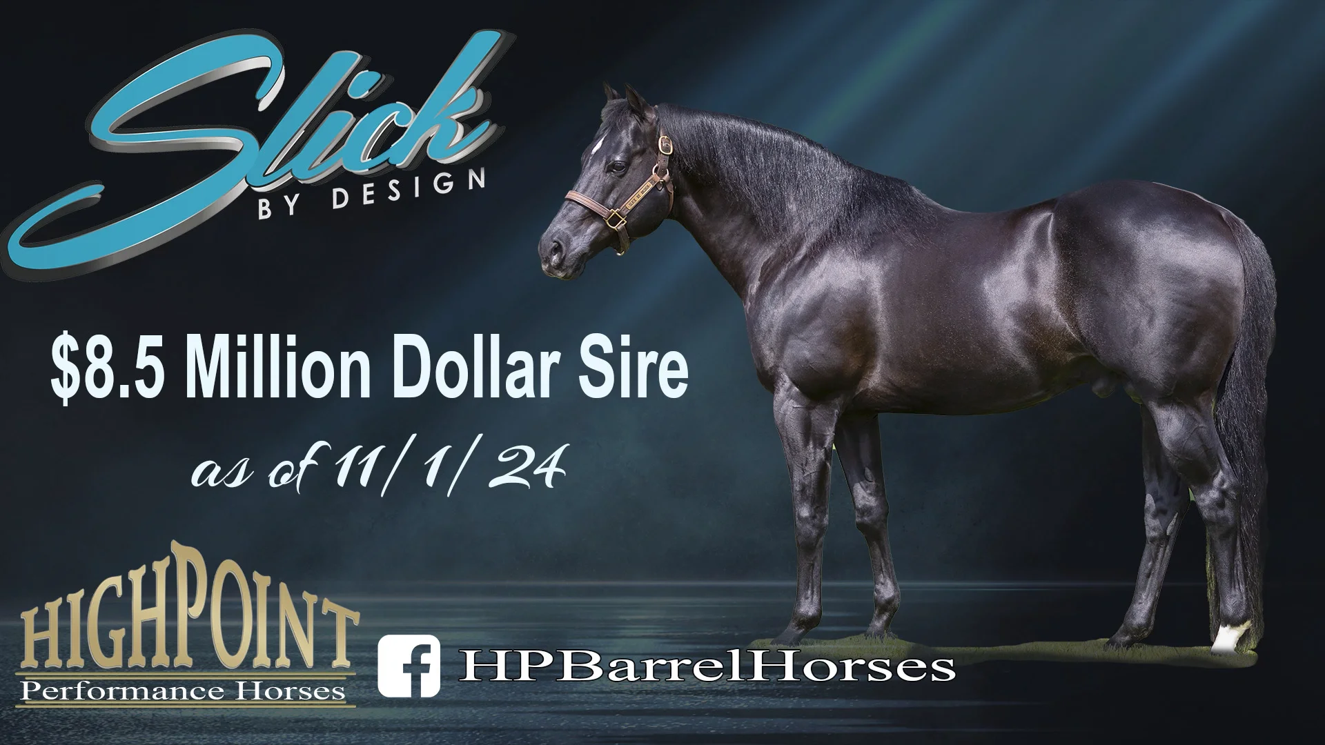 Slick By Design AQHA Barrel Racing Stallion
