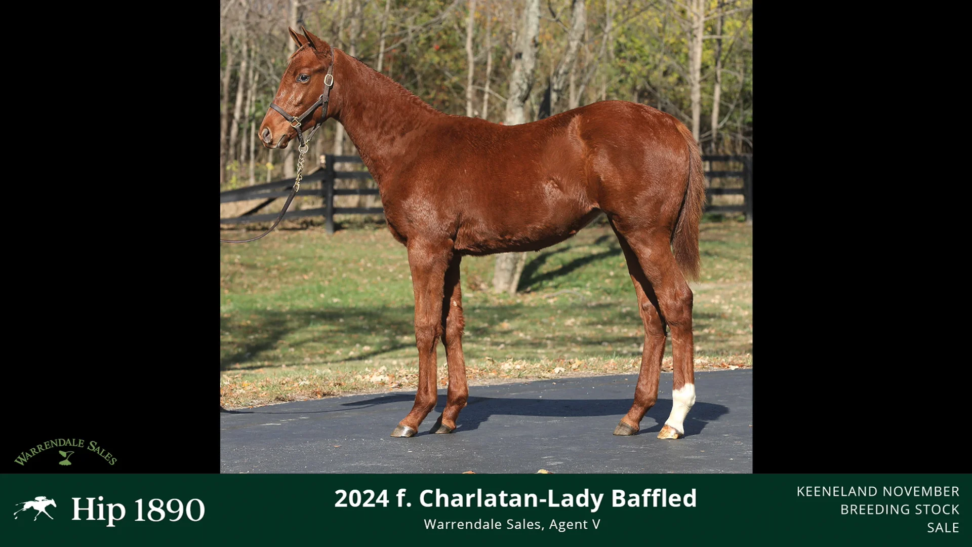 KEENOV24_1890_Lady Baffed 24