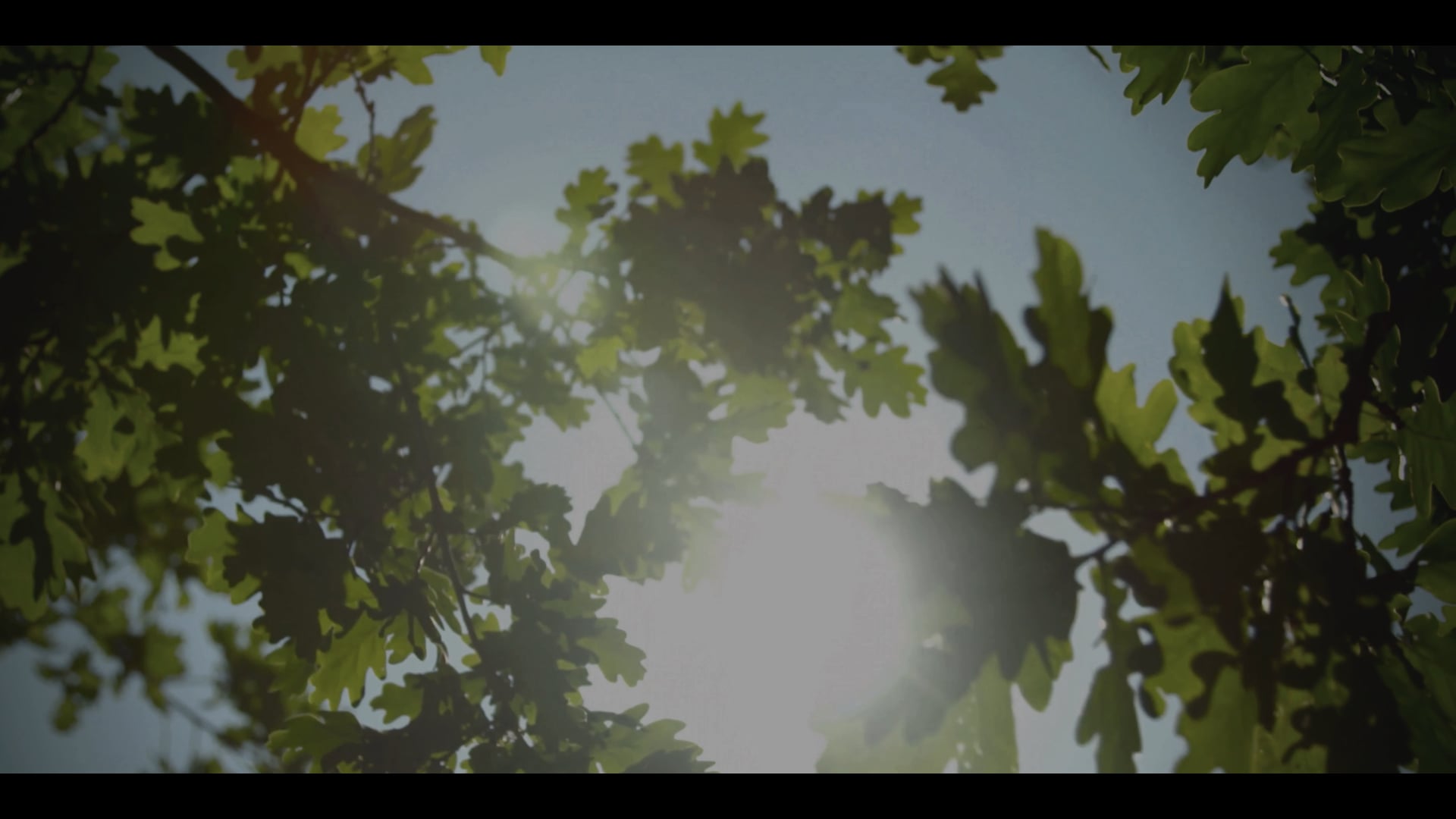 Ecotech Energy Solutions Ltd