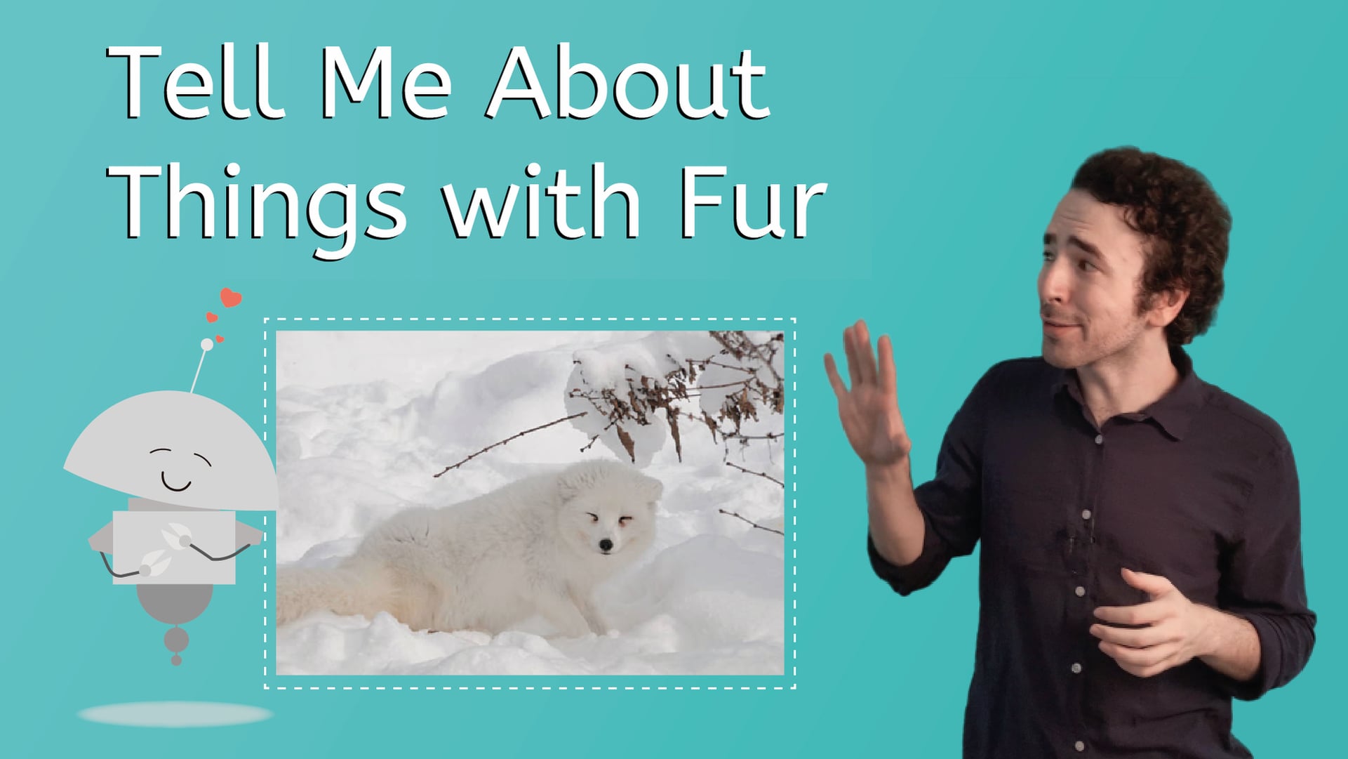 Tell Me About Things with Fur