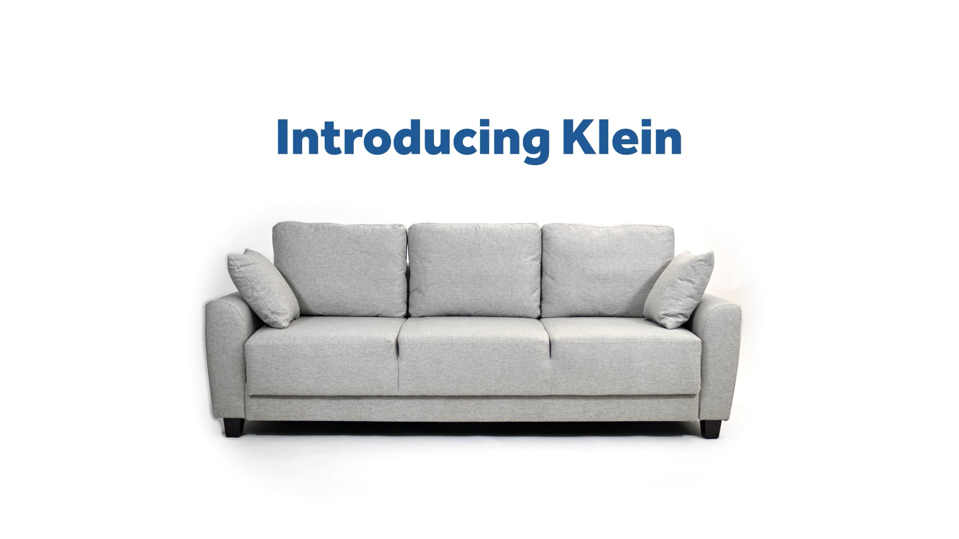 Sealy TruFit Klein Queen Dropback Sofa Bed Convertible - Transitional ...