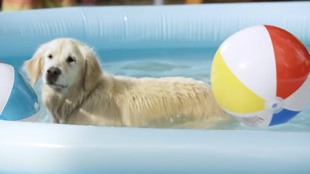 Toys”R”Us - Awesome Outside Pools! - Maddie McGuire Voiceover