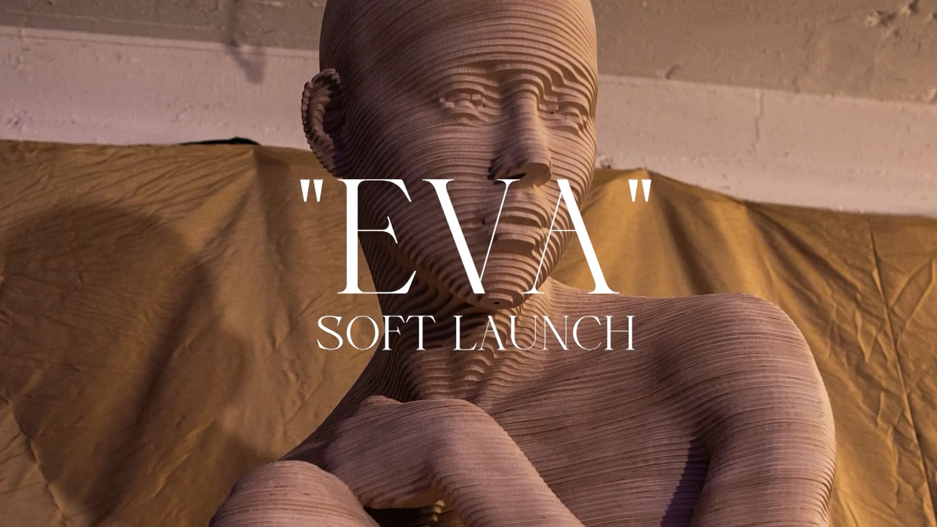 Eva Final Widescreen