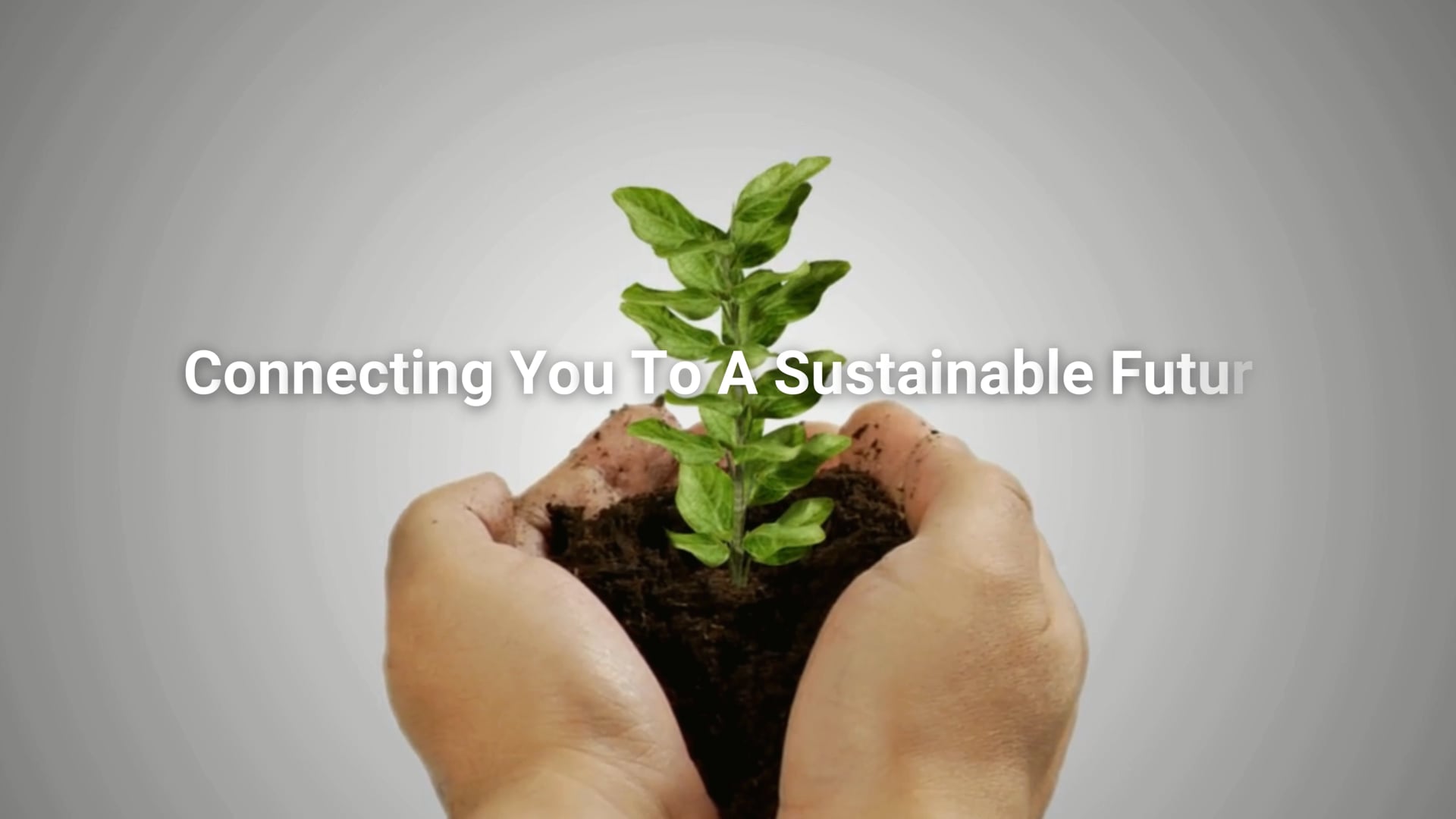 FCT GROUP SERVICES PORTAL