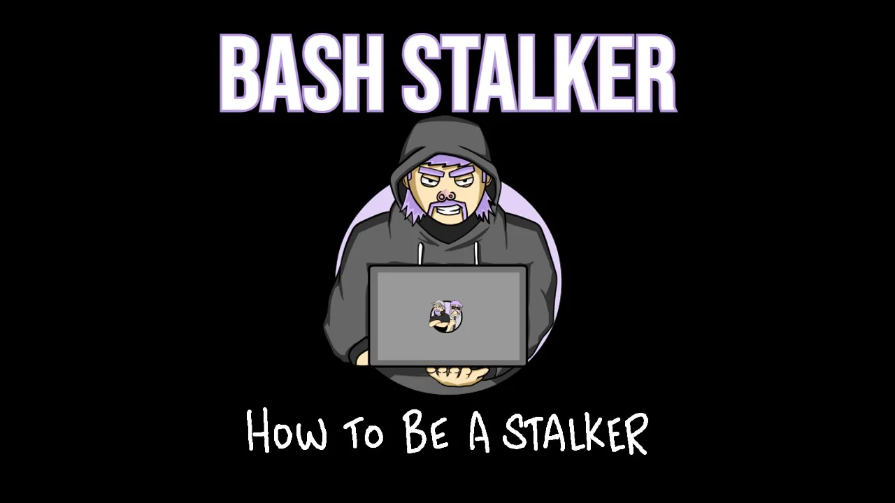 2. NAVIGATING THE BASH STALKER TOOL