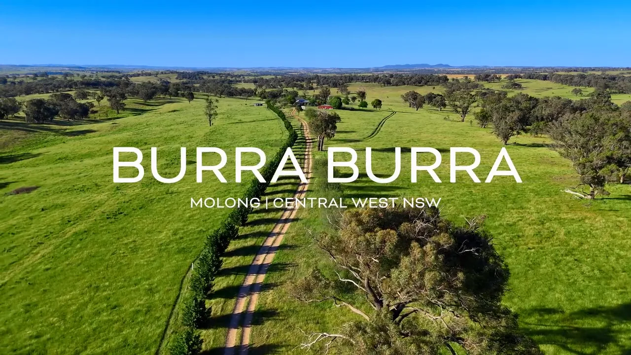 Burra Burra, Molong | Central West NSW