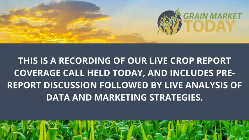 Live Crop Report Coverage 11.8.24