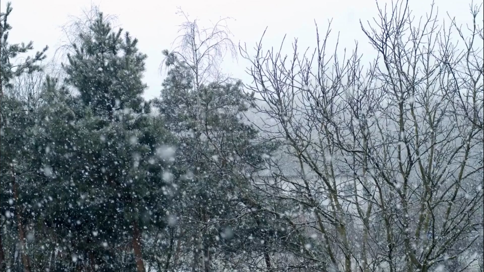 Natural Soap Making | BYOB Soap