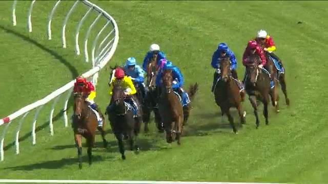 Farnan - Stallion | Breednet