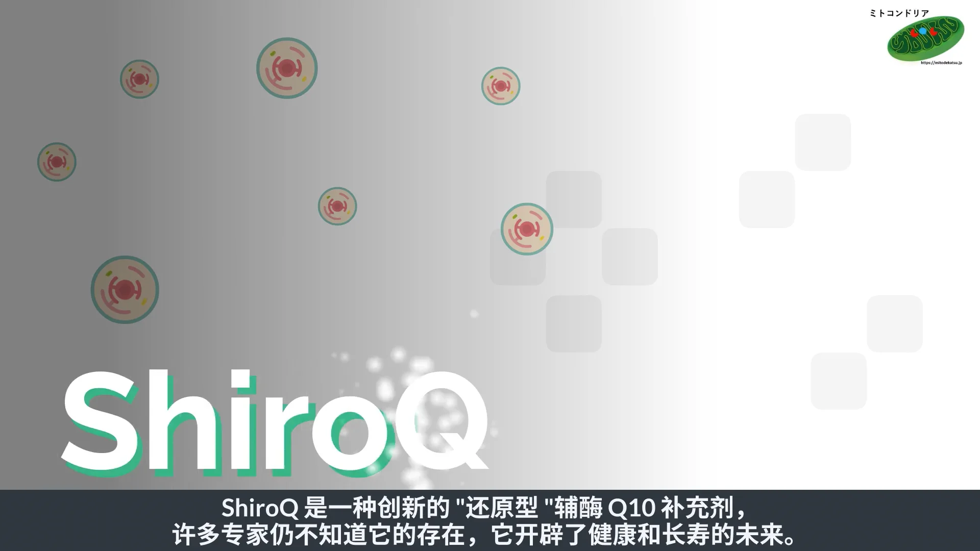 中国語 ShiroQ 还原型辅酶Q10水溶性粉末