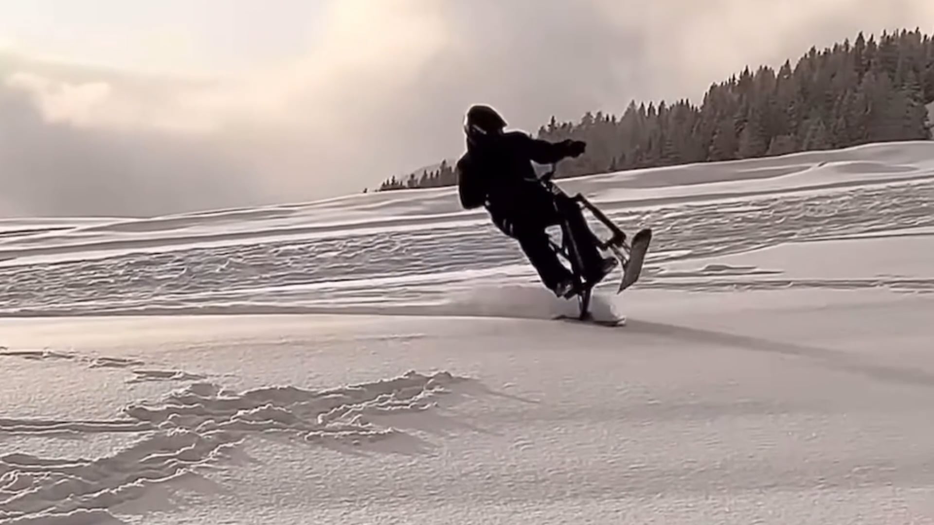 Your one stop shop for your Ski Bike needs.