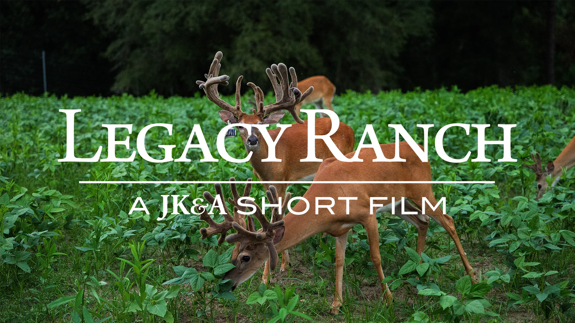 Legacy Ranch Short Film
