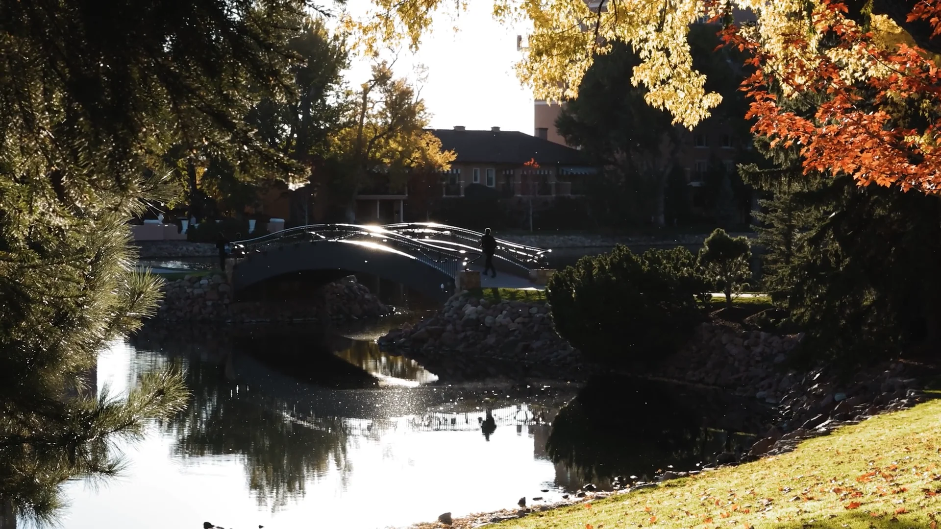 Recap | Decision Point Summit 2024