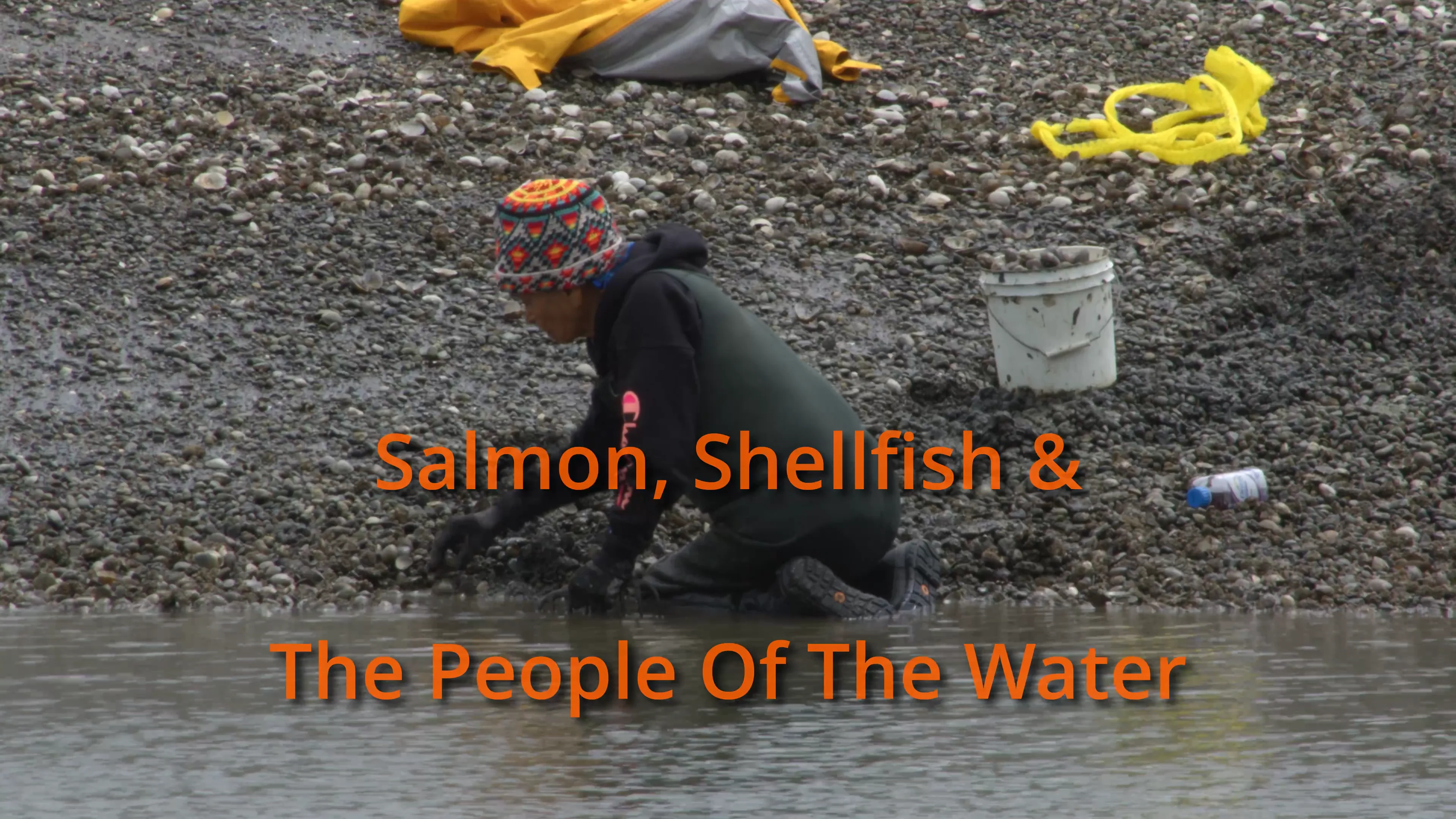 Salmon Shellfish and People of The Water v12