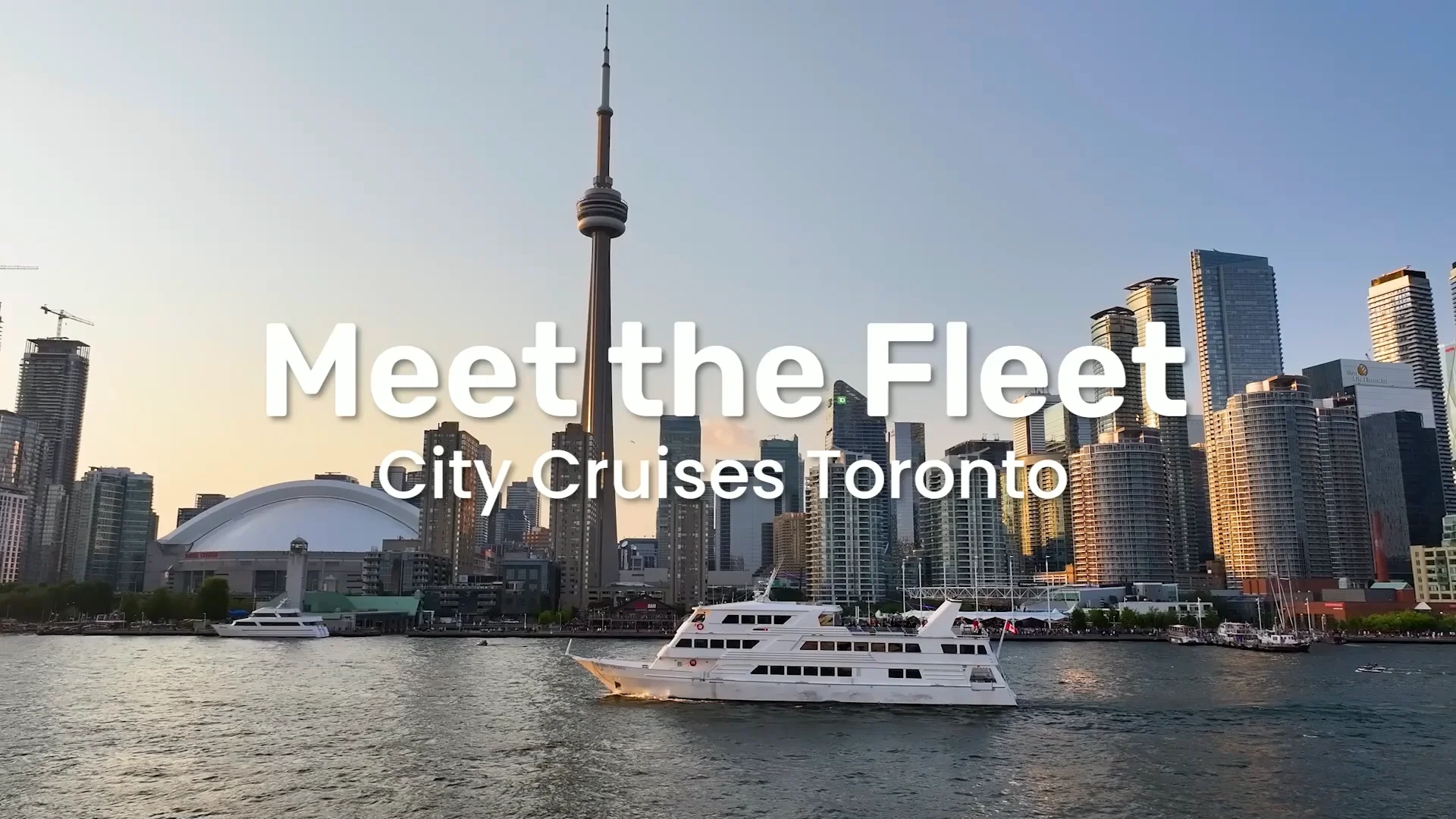 Meet The Toronto Fleet Video - Toronto Charters