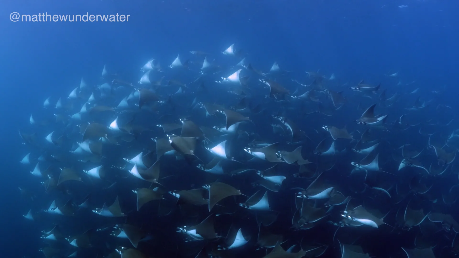 Matthew Underwater Reel