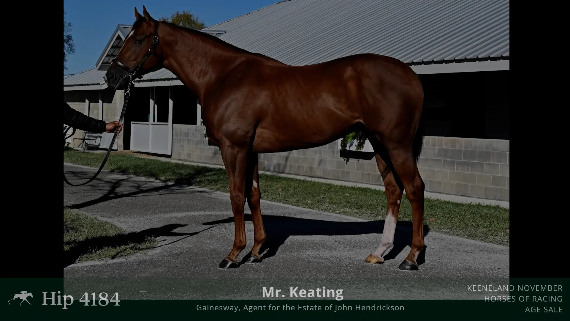 Mr. Keating KEEHRA24 Hip_4184