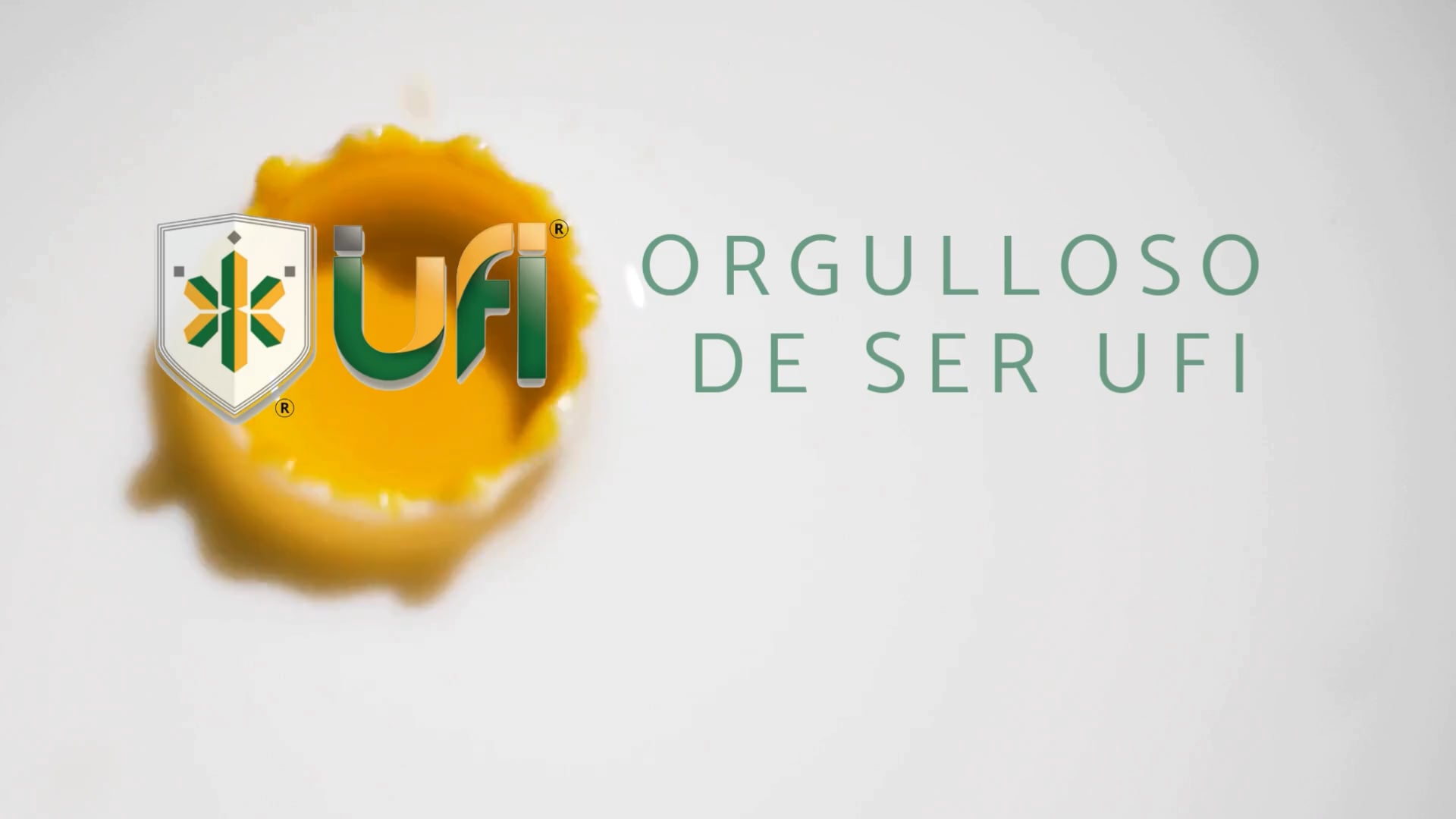 UFI, Instituto Universitario en Formación Integral