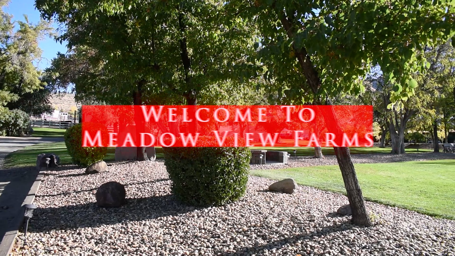 Horse Riding Lessons Reno NV | Riding Lessons | Meadowview Farms