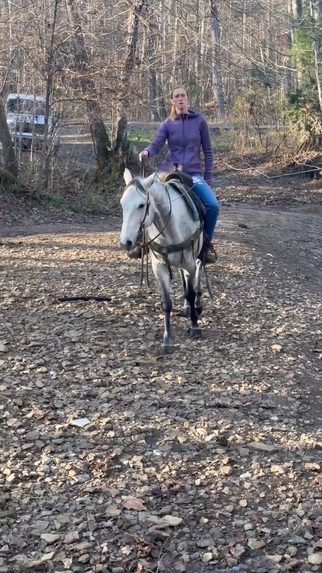 Ash Dash Drifter- 2018 Grey AQHA Gelding