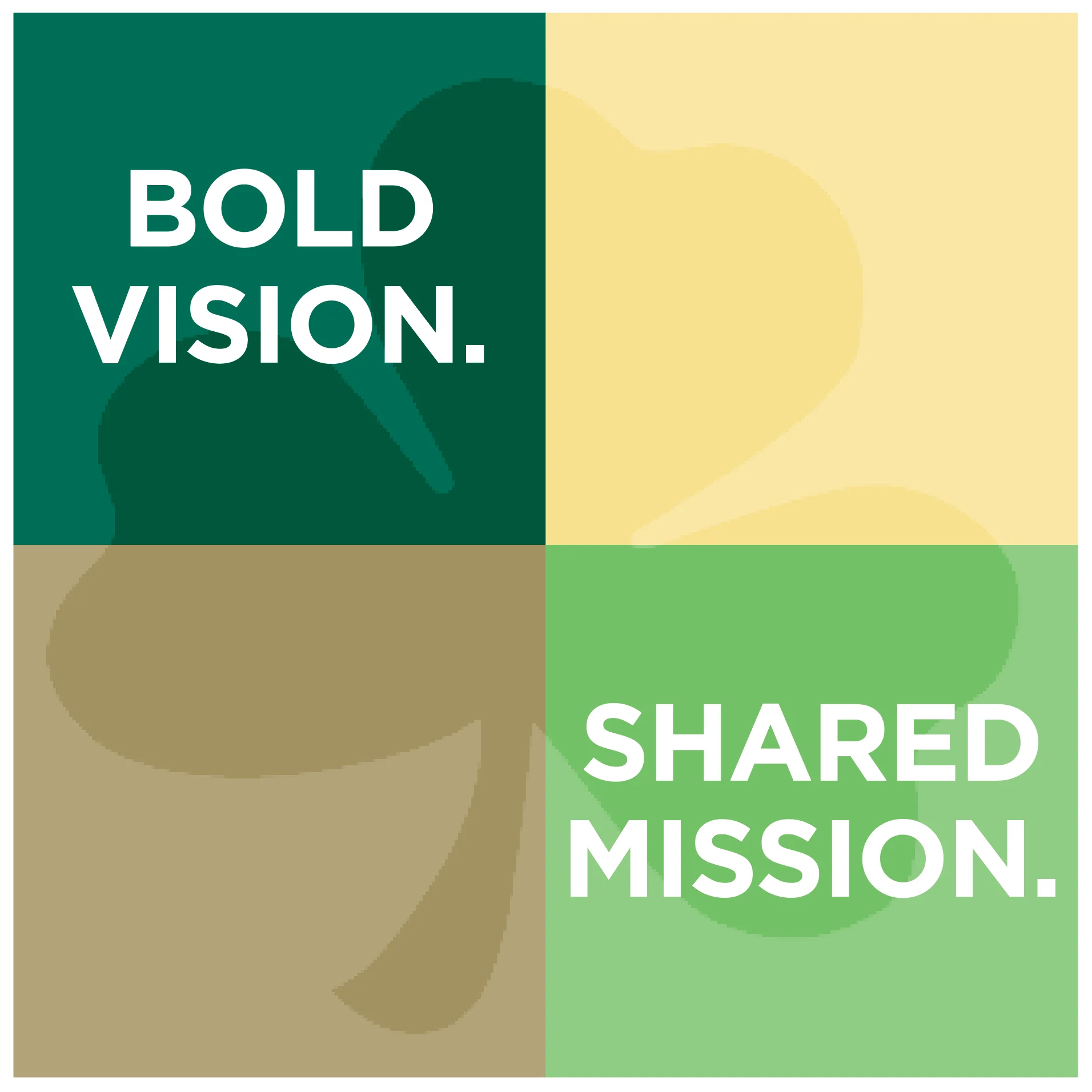 BFHS.NOV24.Shamrock Fund