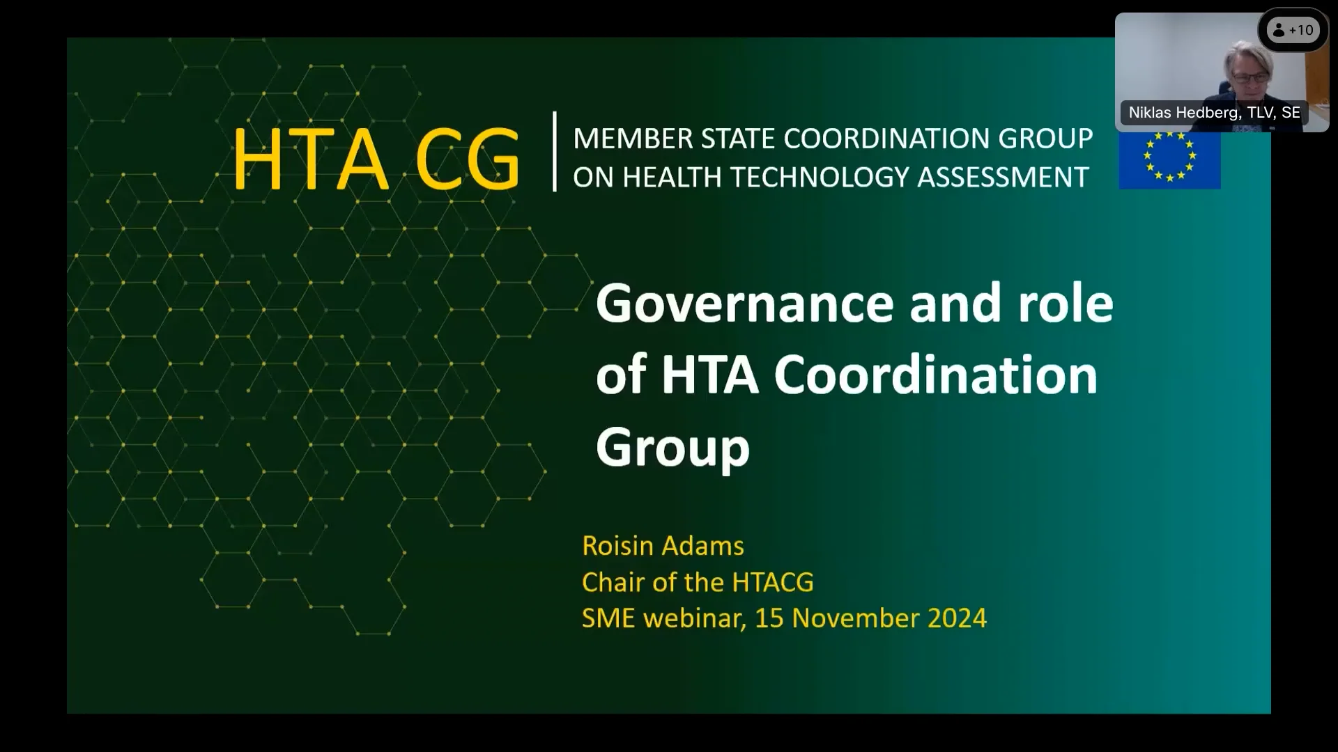 Chapter 2 - HTA framework, presentation by Roisin Adams