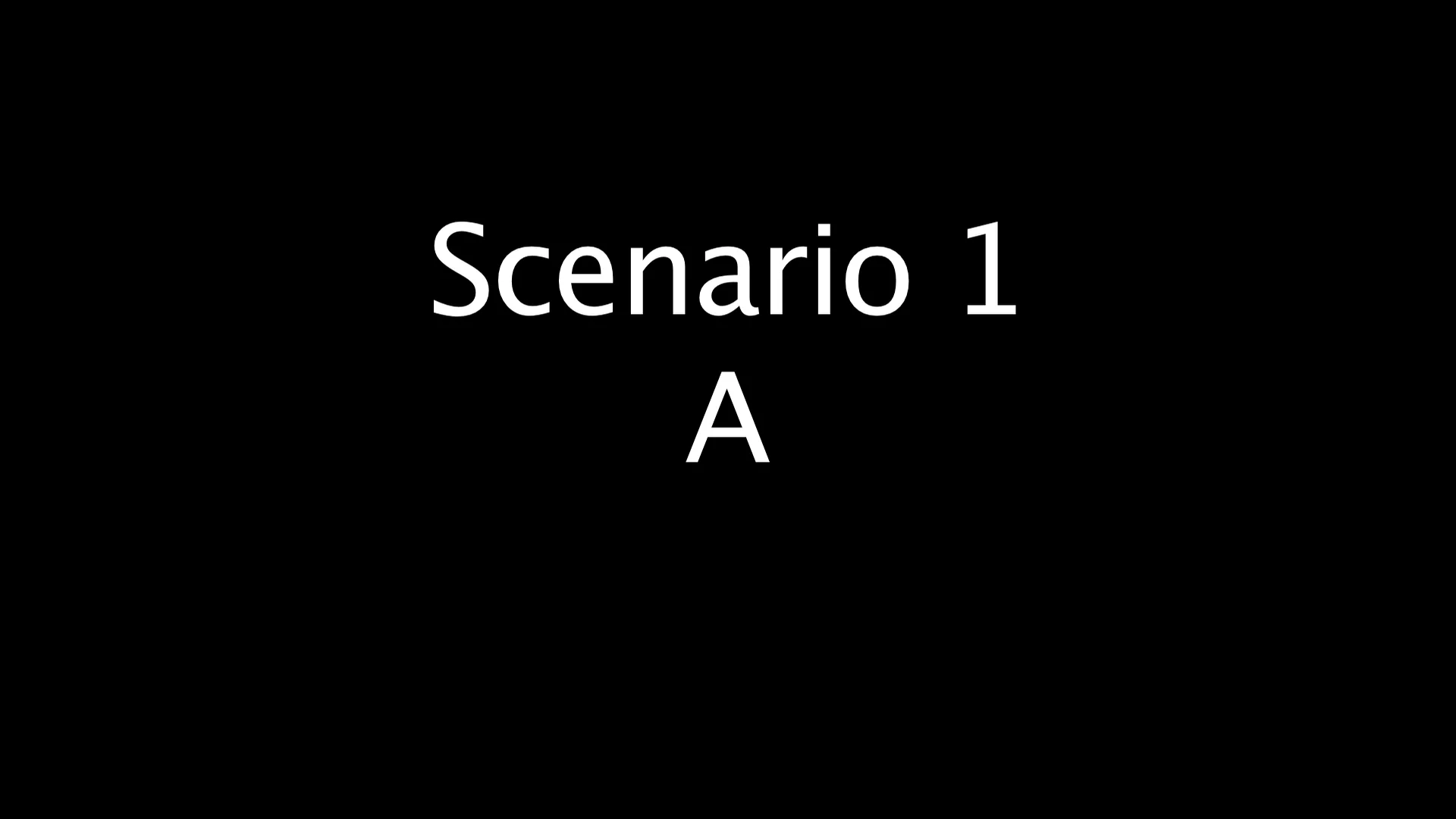 NYP Security Scenario_1A.mov