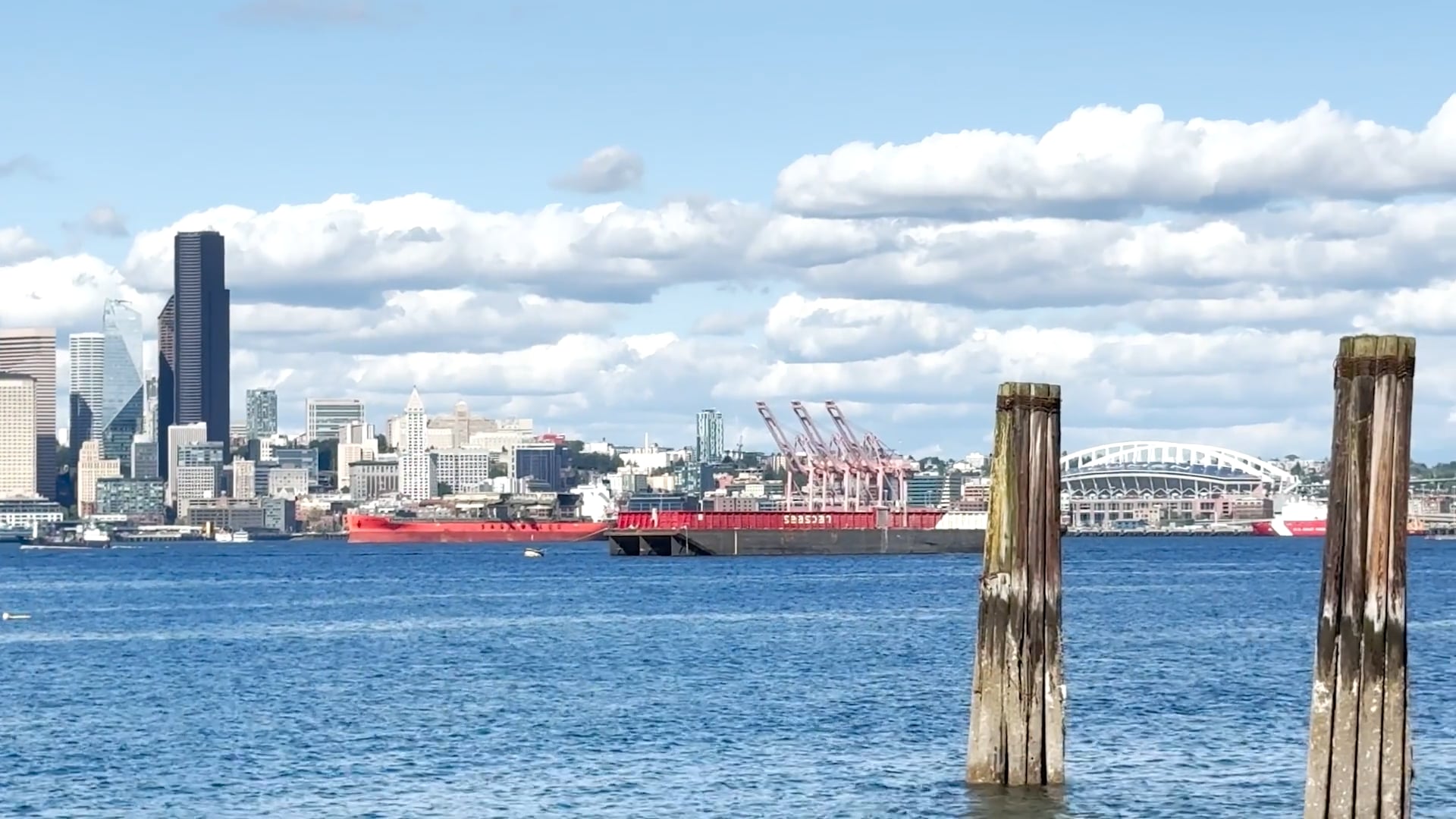 Freelance Beaver Detective