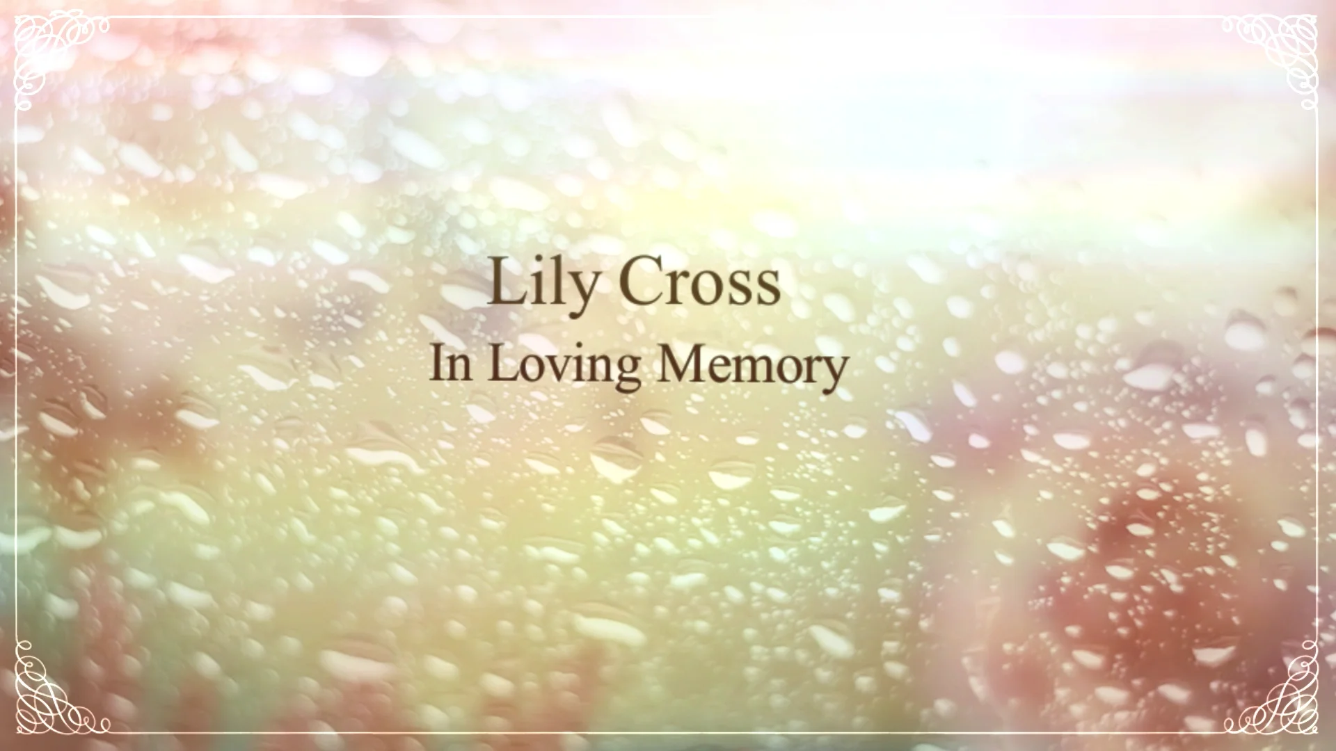 Memorial Videos for Review - LILY_CROSS_-_In_Loving_Memory_1080p on Vimeo